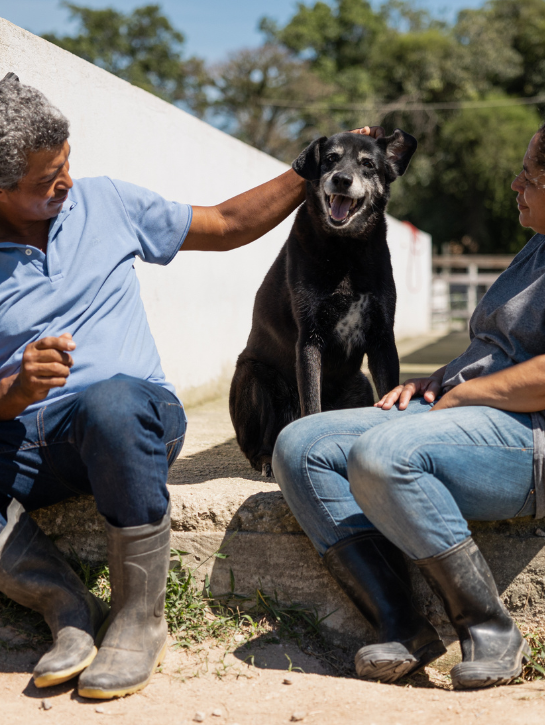 Managing Risks in Animal Foster Programs - Tangram Insurance Services