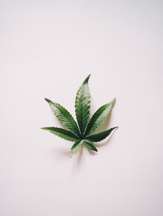 The Rising Risk of Cannabis Poisoning in Seniors - Tangram Insurance ...